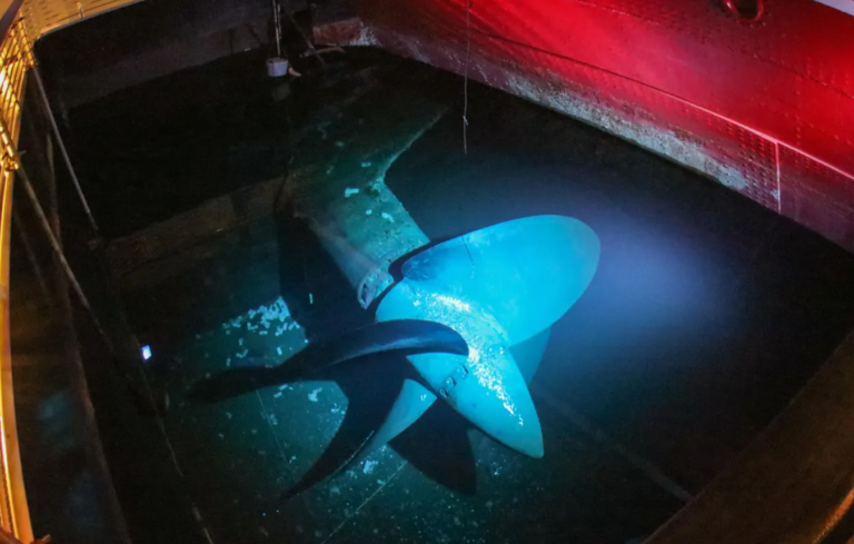 Submechanophobia – Find Out If You Suffer From It | The Shipyard