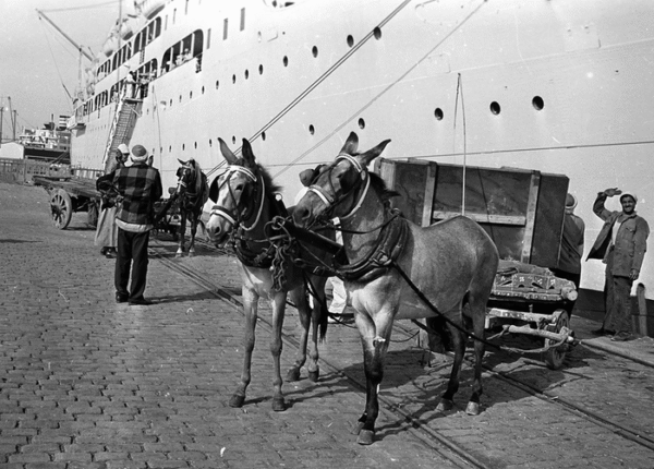 Cruise Ships of the Soviet Union | The Shipyard